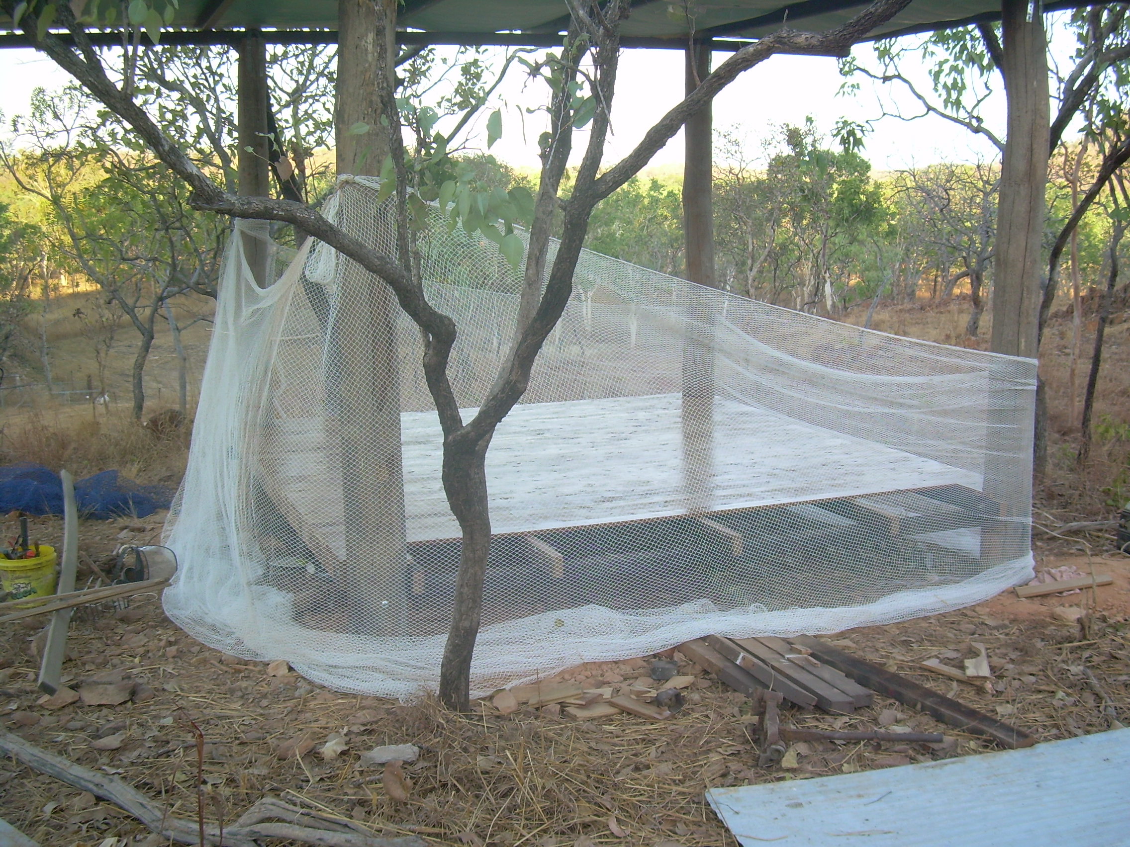 goat shack. – speargrass